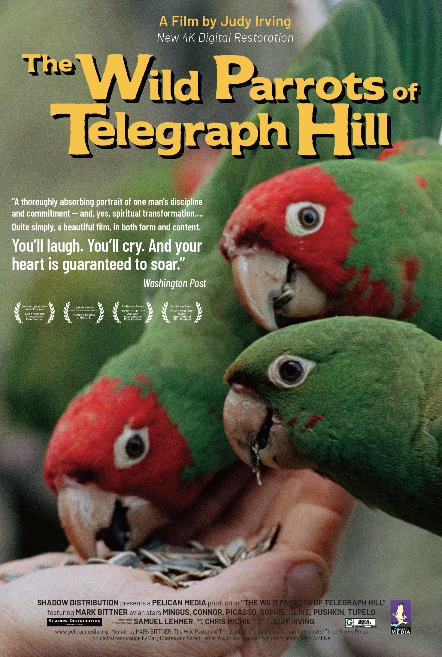 The Wild Parrots of Telegraph Hill (4k) - Shadow Distribution