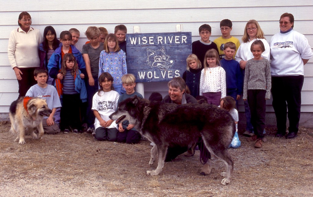 True Wolf - Shadow Distribution